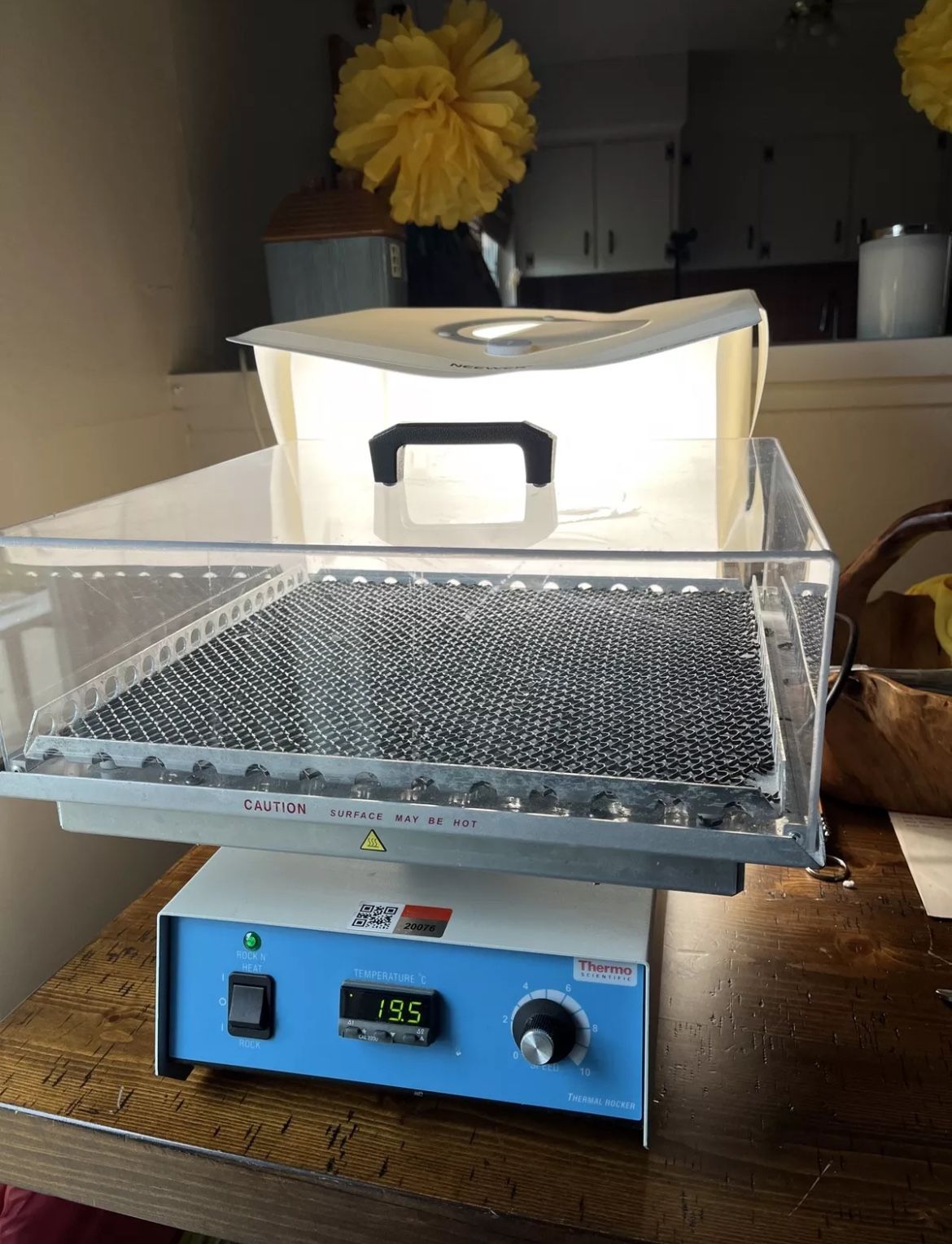 Thermo Scientific Thermal Rocker 4637 Tested for Sale in Phillips Ranch ...