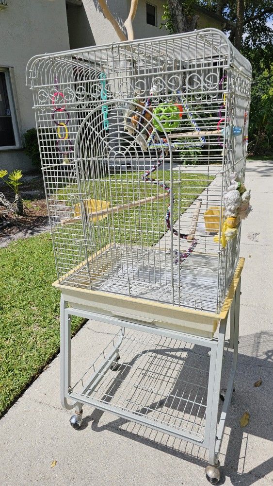 Bird Cage for Sale in Pompano Beach, FL - OfferUp
