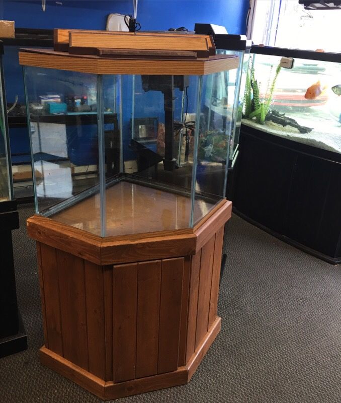 44 gallon Corner/ half Pentagon Aquarium fish tank combo $300 for Sale ...