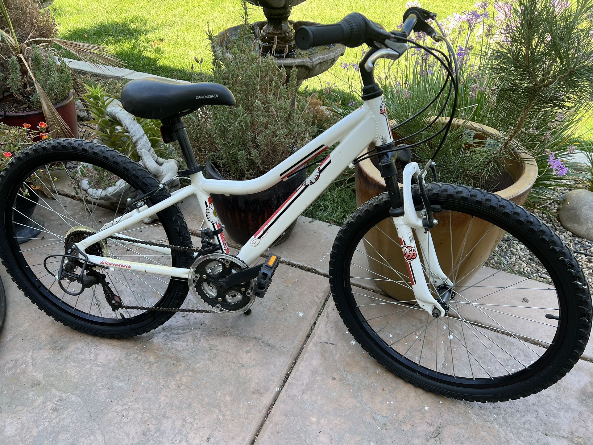 Diamondback Mountain Bike 24 for Sale in Lathrop, CA - OfferUp