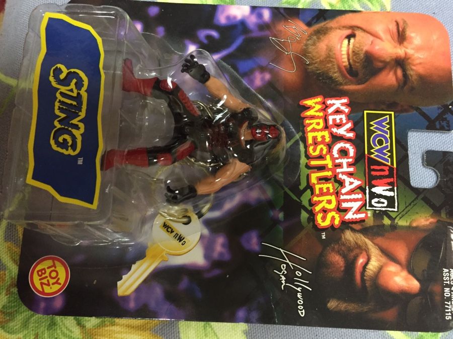 Sting Wcw Nwo