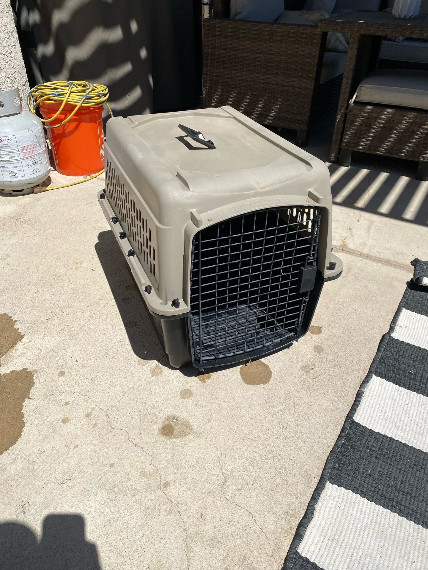 Dog Crates That Are Zebra