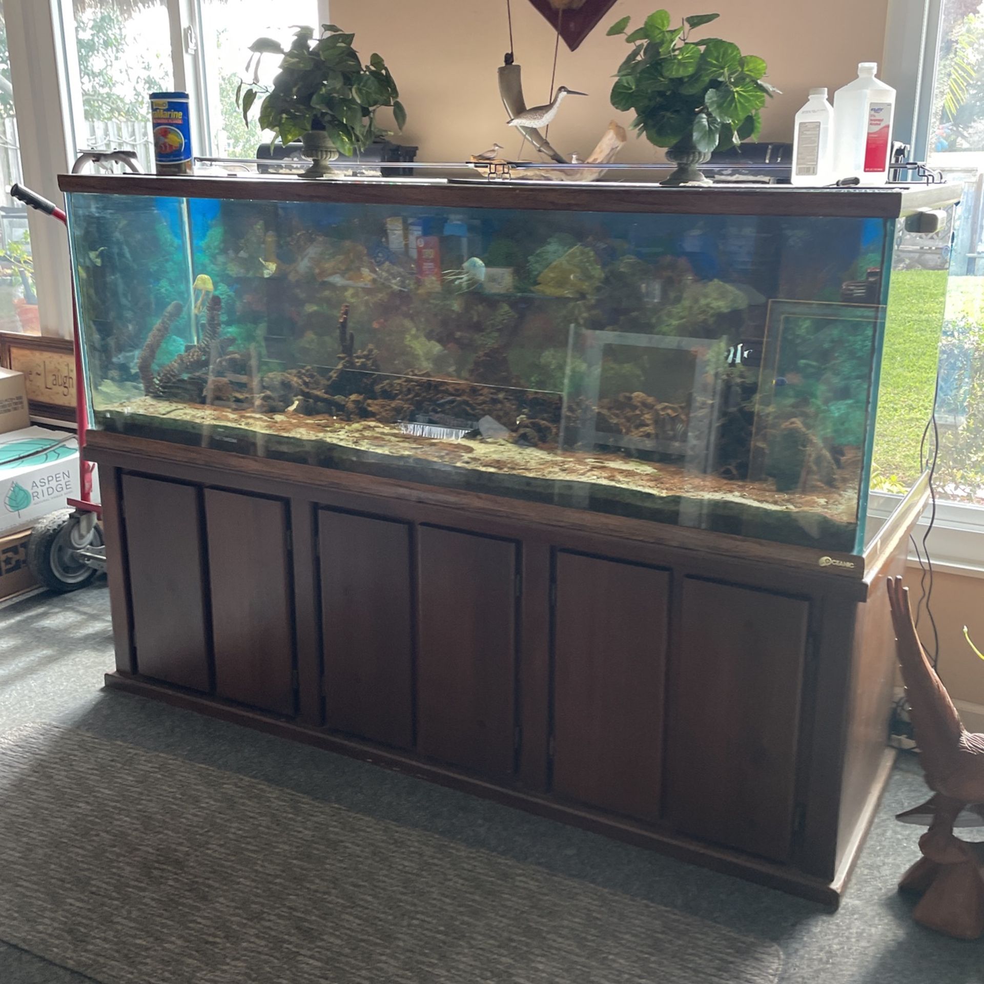 180 Gallon Fish Tank $300 for Sale in Boynton Beach, FL - OfferUp