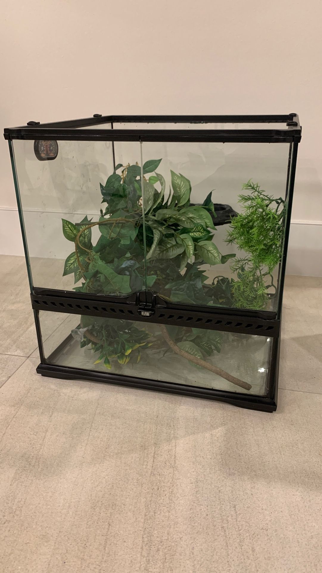 Exo terra baby chameleon/crested gecko cage for Sale in Winter Park, FL ...