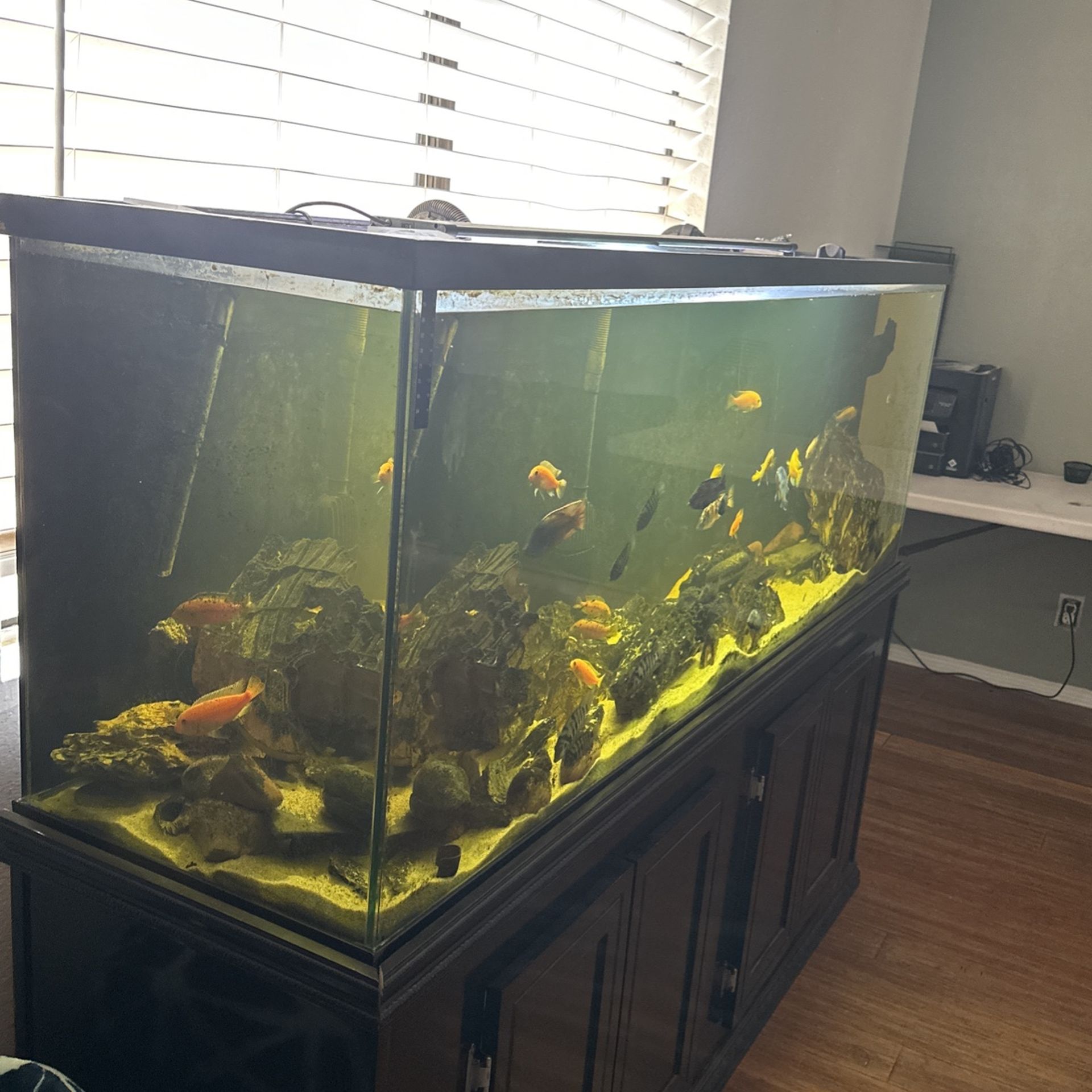 Fish Tank 150 Gallons for Sale in Riverside, CA - OfferUp