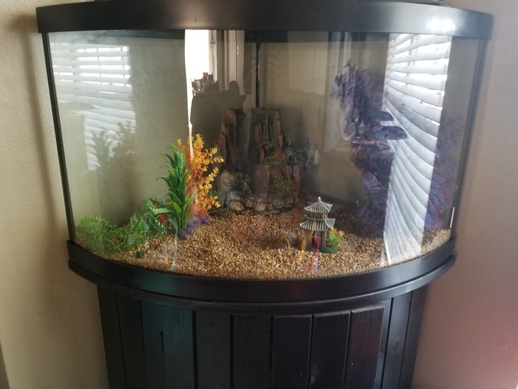 Aqueon 55 gallon Corner fish tank for Sale in San Antonio, TX - OfferUp