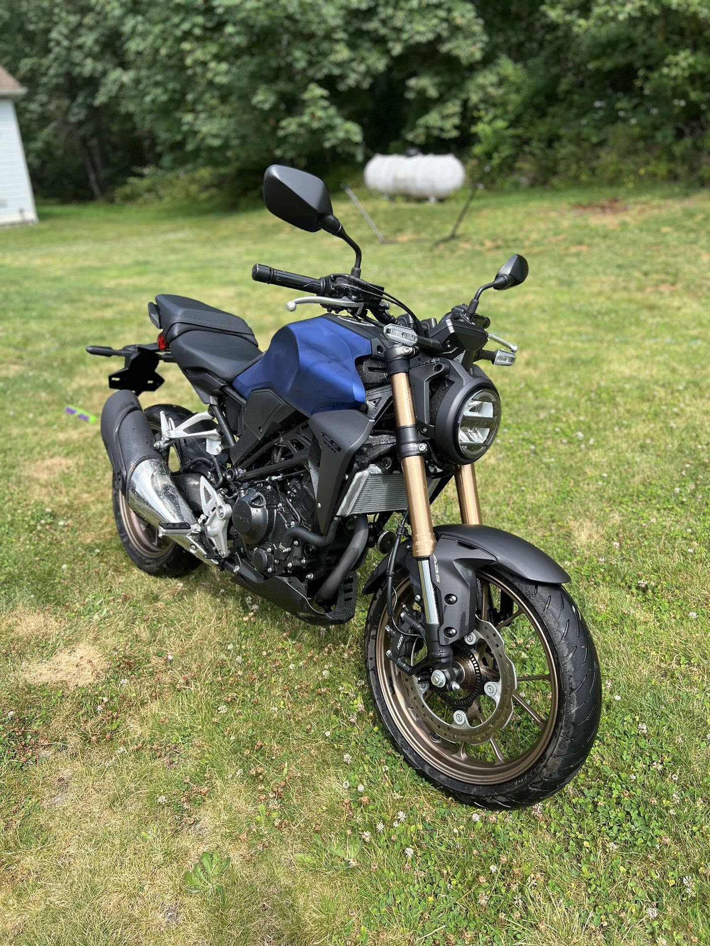 2021 Honda CB300R for Sale in Snohomish, WA - OfferUp