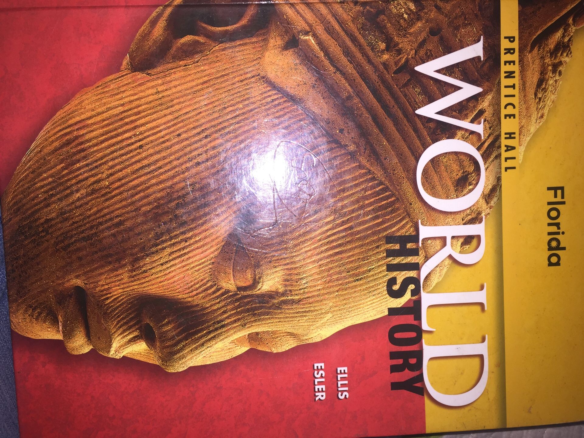 World History Textbook