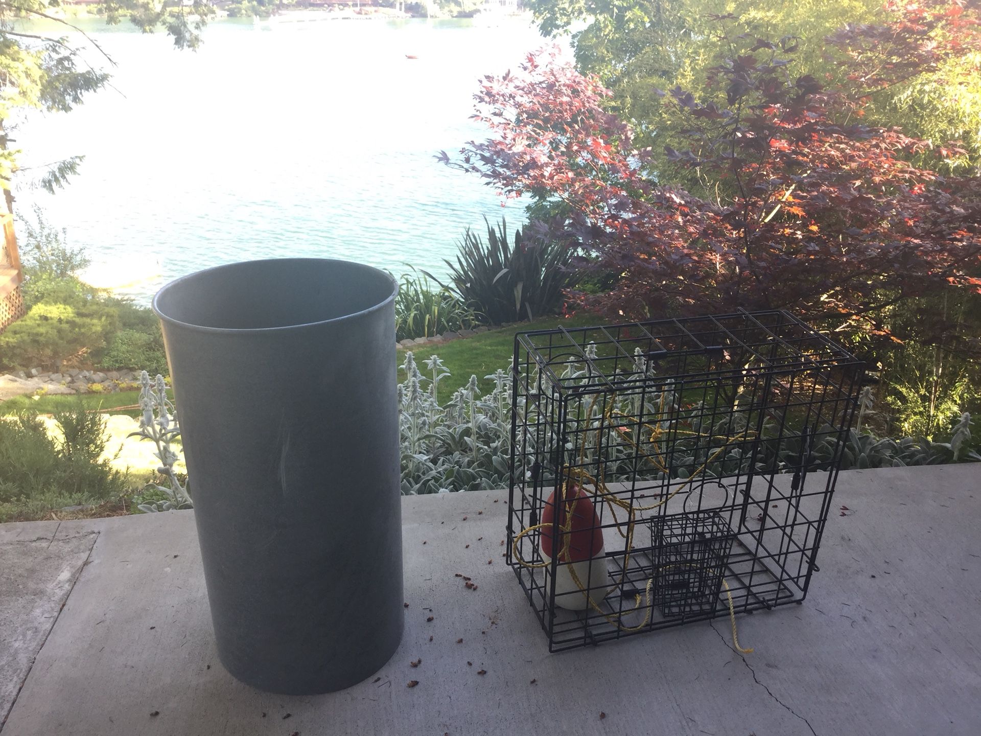 Geoduck tube, pipe - galvanized steel, 100% effective - rare buy for ...