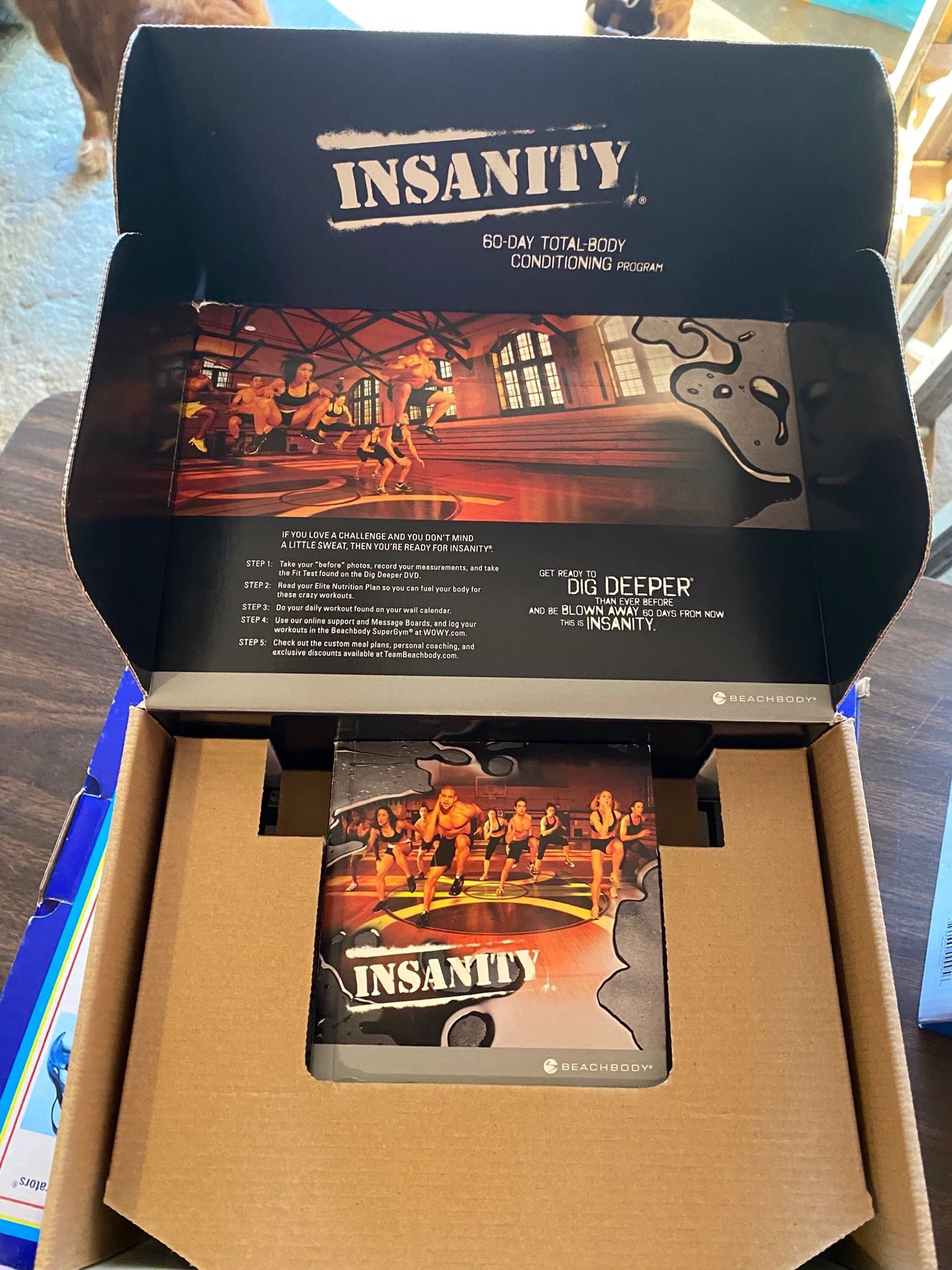 Insanity Fit Test And Measurement Tracker