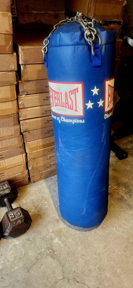 Blue Everlast Punching Bag