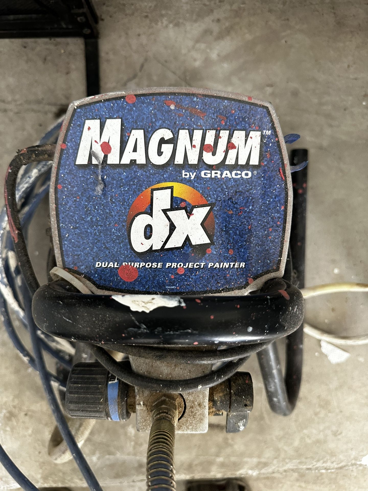 Magnum dx dual purpose project painter store