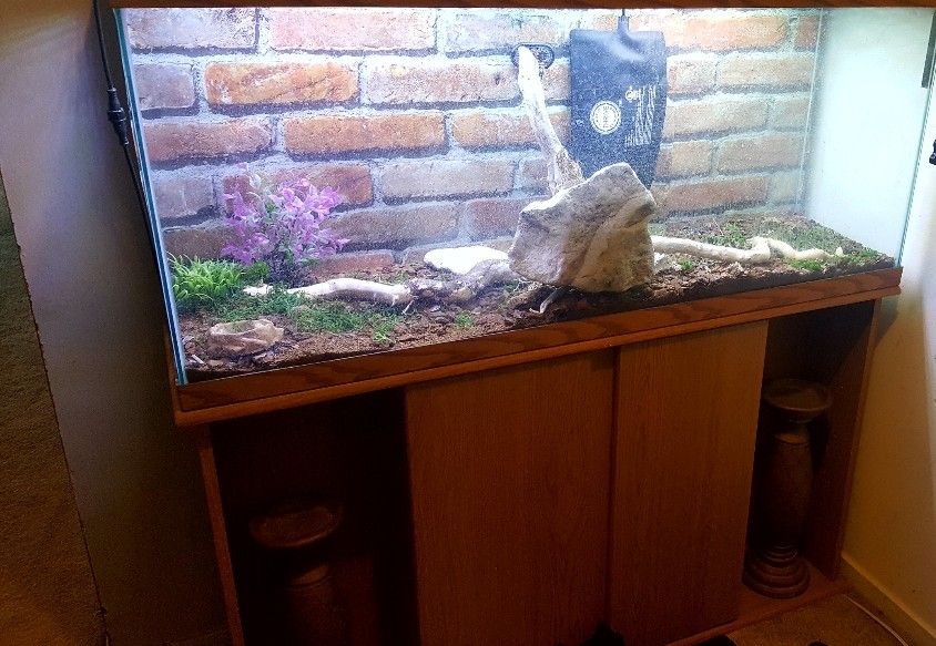55 Gallon Fish & Reptile Tank for Sale in Chicago, IL - OfferUp