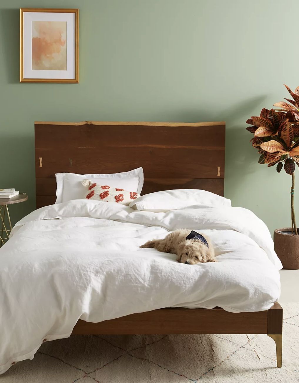 Anthropologie queen bed store