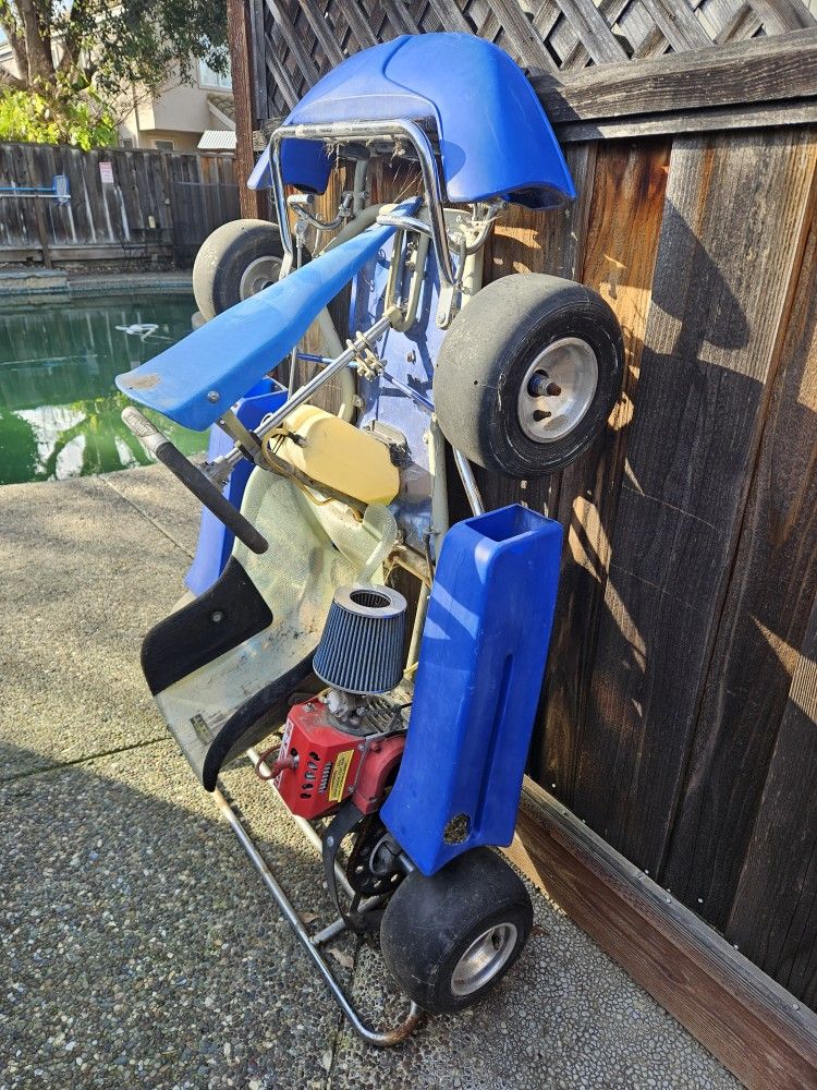 Cadet Kart Go Cart Kart With Comer K80 2 Stroke Motor for Sale in ...