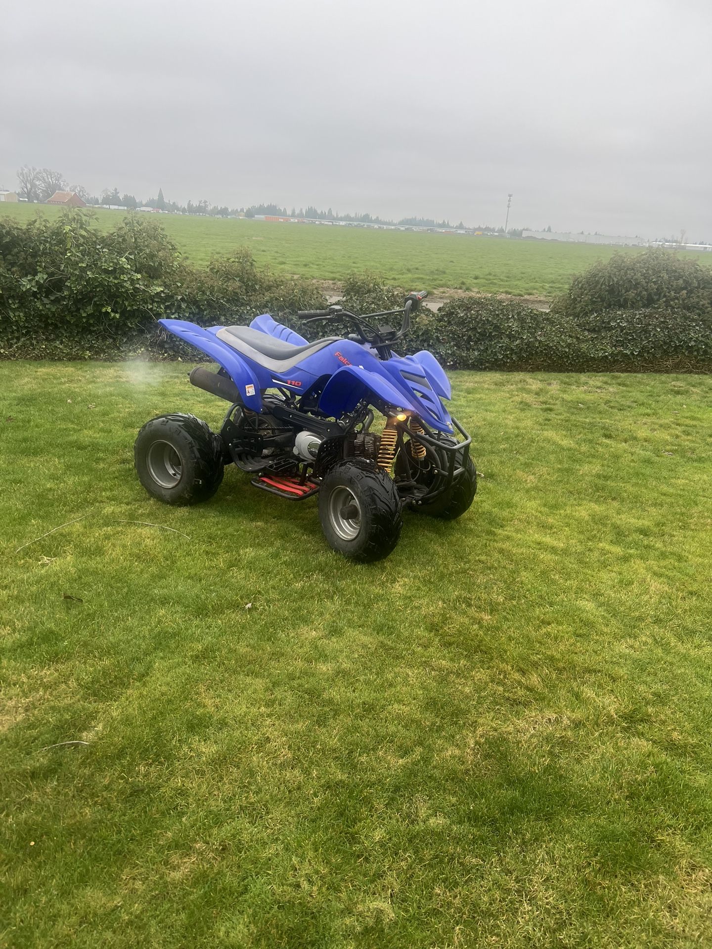110cc Kaduna Falcon Quad for Sale in Woodburn, OR - OfferUp