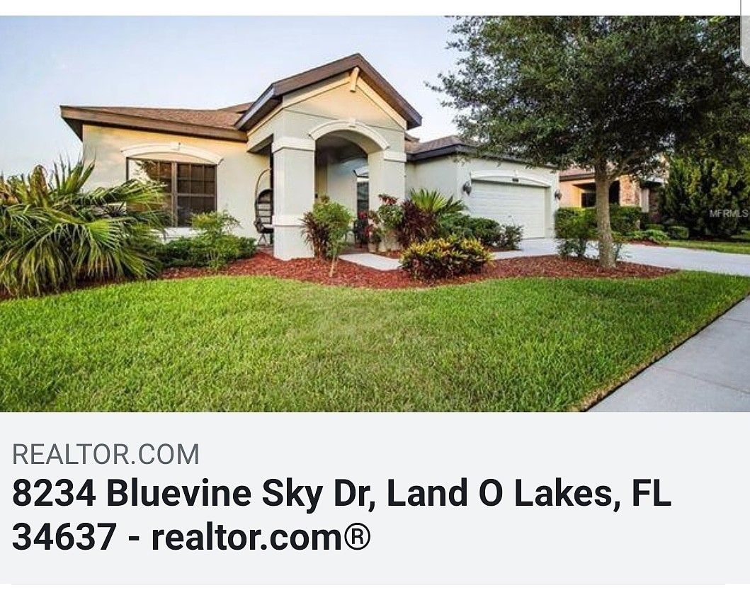 Homes For Sale Connerton Land O Lakes Fl at Austin George blog
