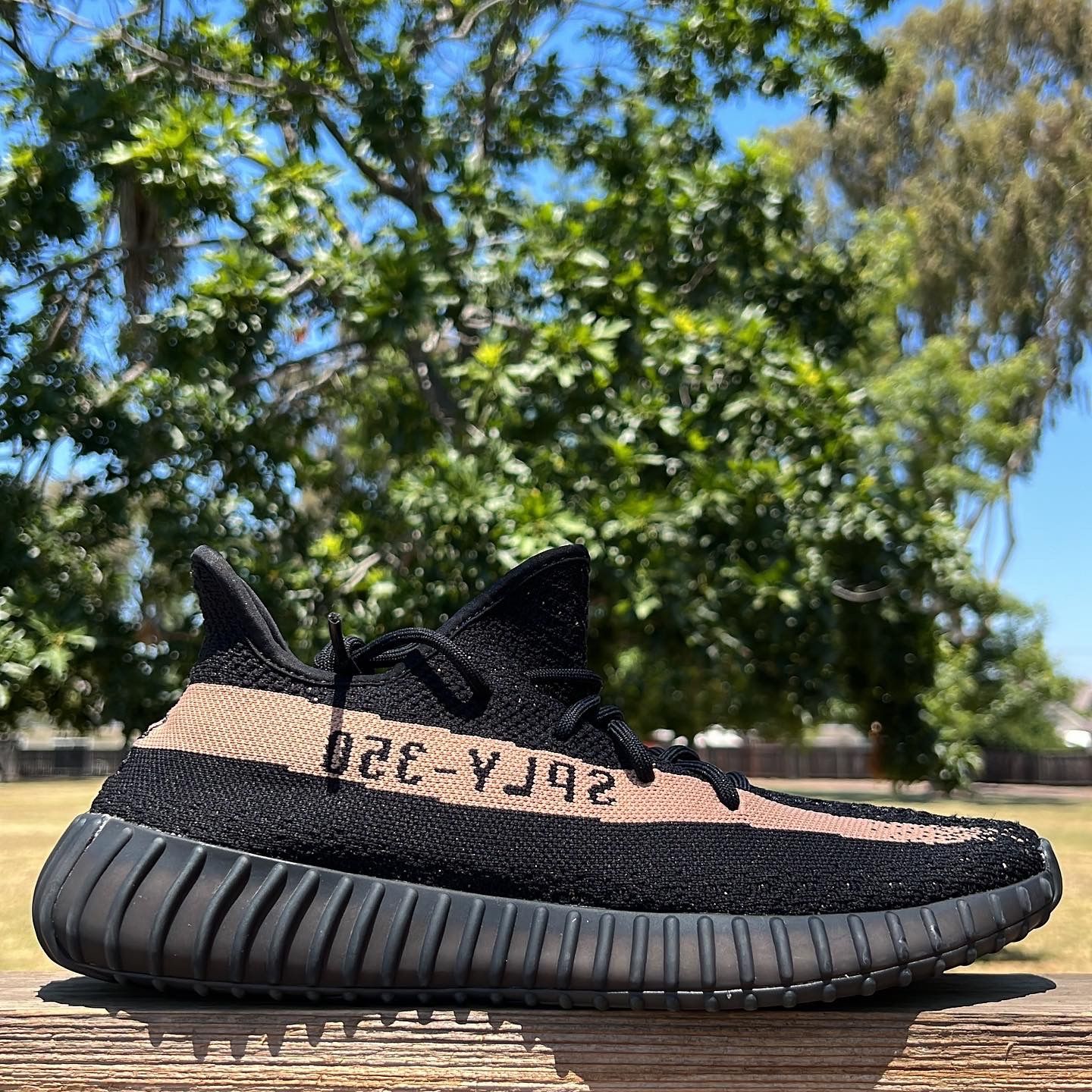 Yeezy 350 Cooper | ppgbbe.intranet.biologia.ufrj.br