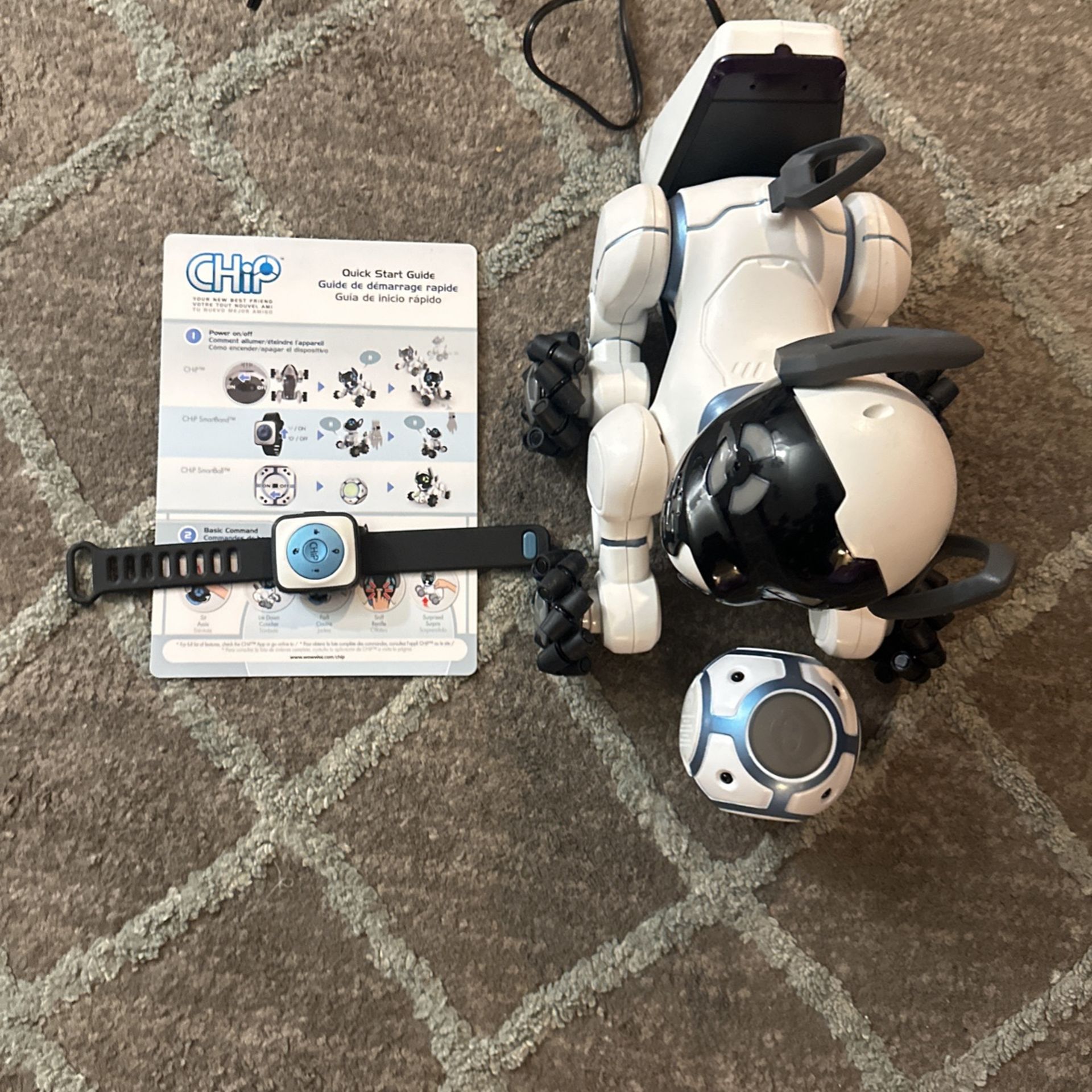 Chip The Dog for Sale in Addison, TX - OfferUp