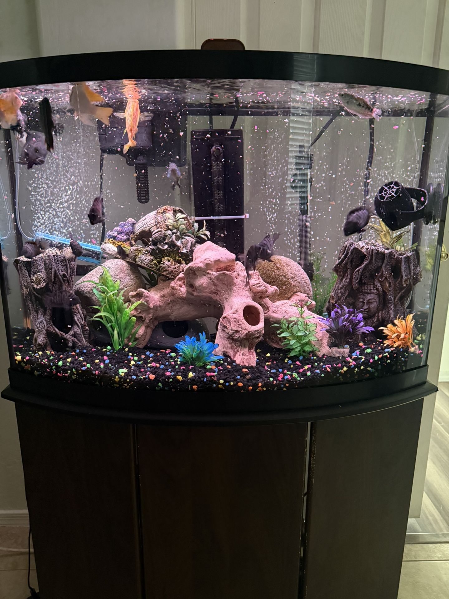 36 Gallon Bow Front Aquarium With Stand
