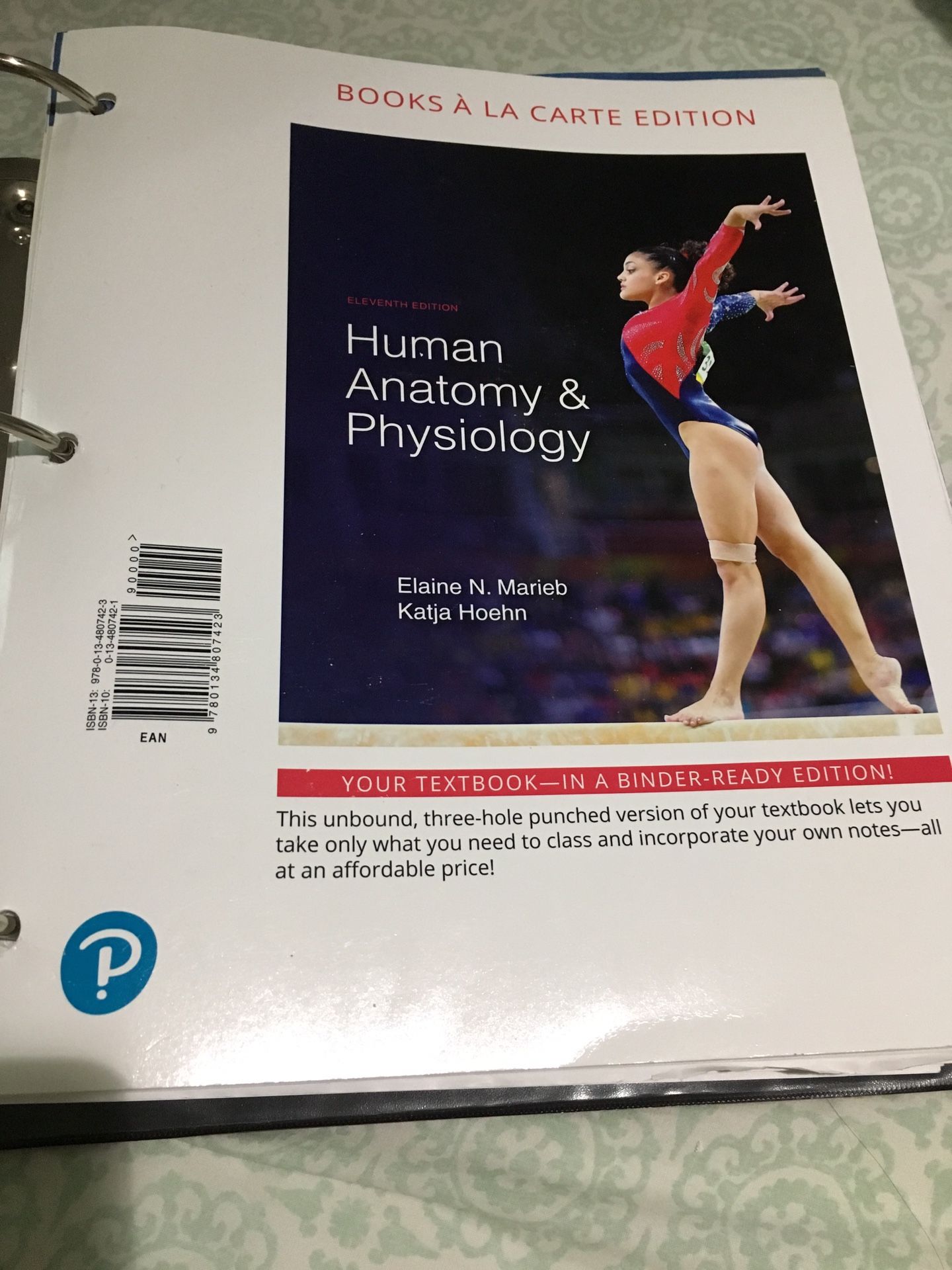 Anatomy And Physiology Textbook Pearson