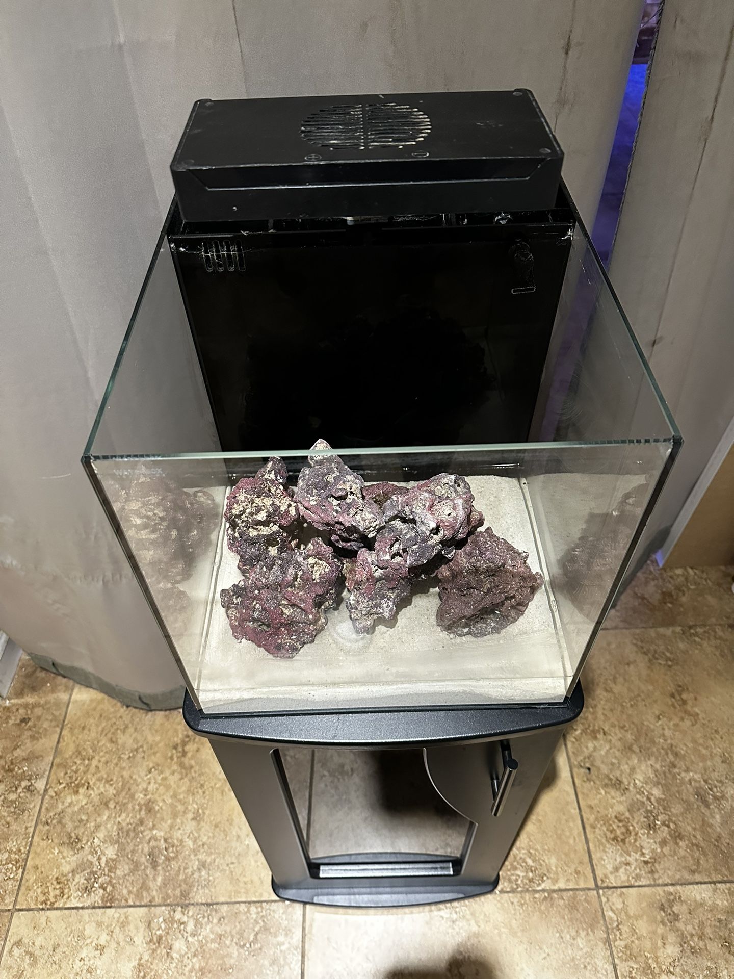Waterbox 10 Gallon Micro Saltwater Reef Tank Setup for Sale in ...