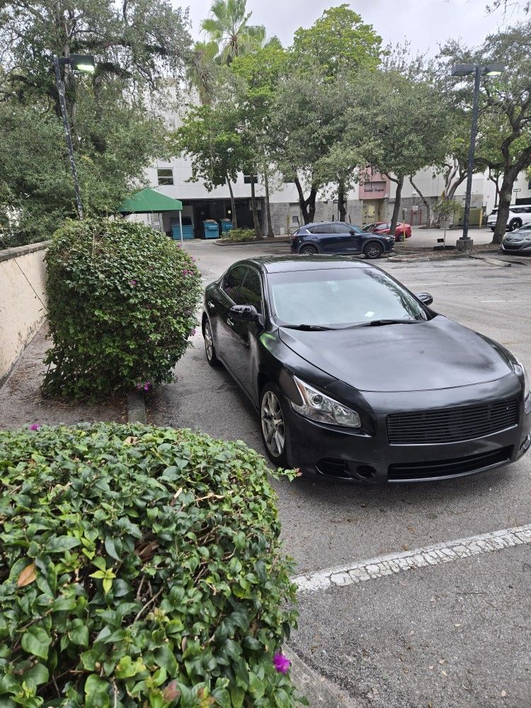 2013 Nissan Maxima for Sale in Fort Lauderdale, FL - OfferUp