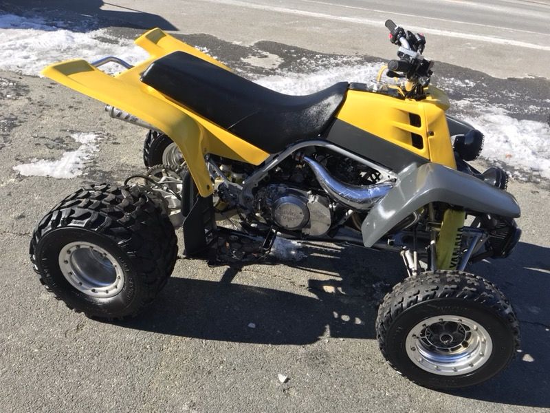 Black And Yellow Banshee