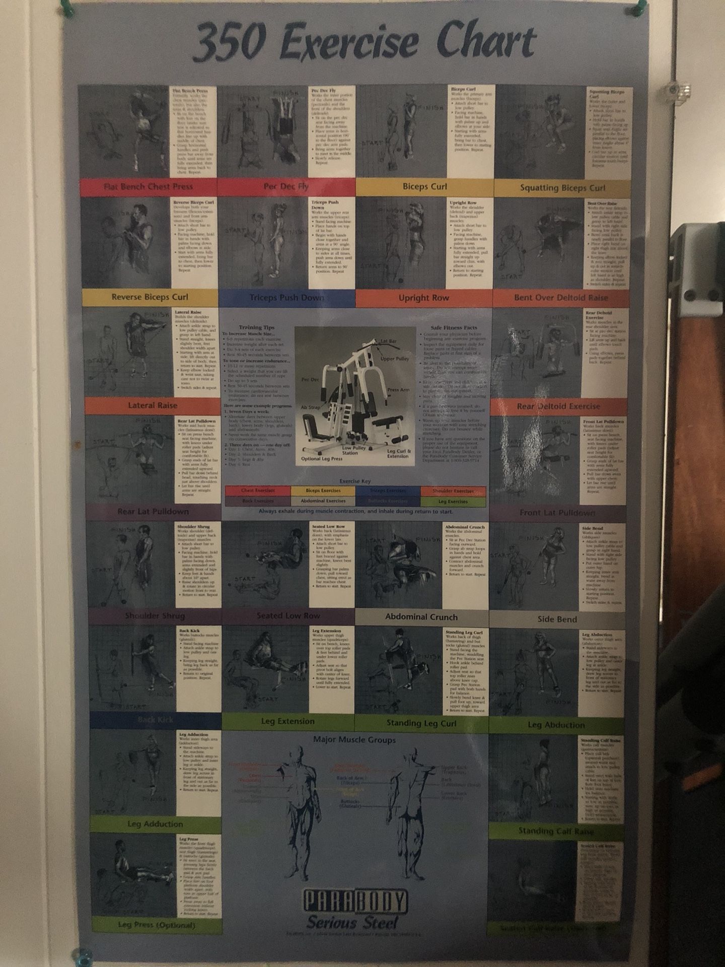 Parabody 350 Home Gym Exercise Chart Downloadable
