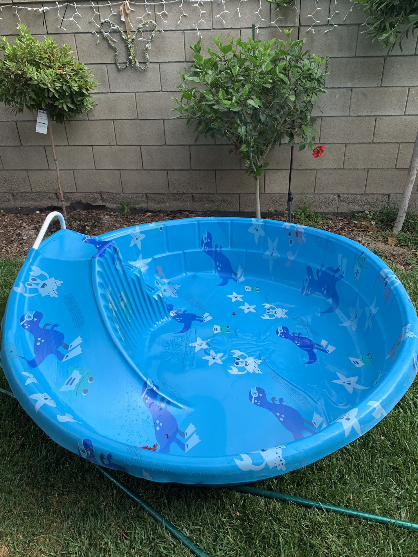 Hard Plastic Pools For Kids