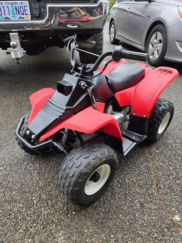 50cc Kazuma Meerkat Quad for Sale in Tacoma, WA - OfferUp