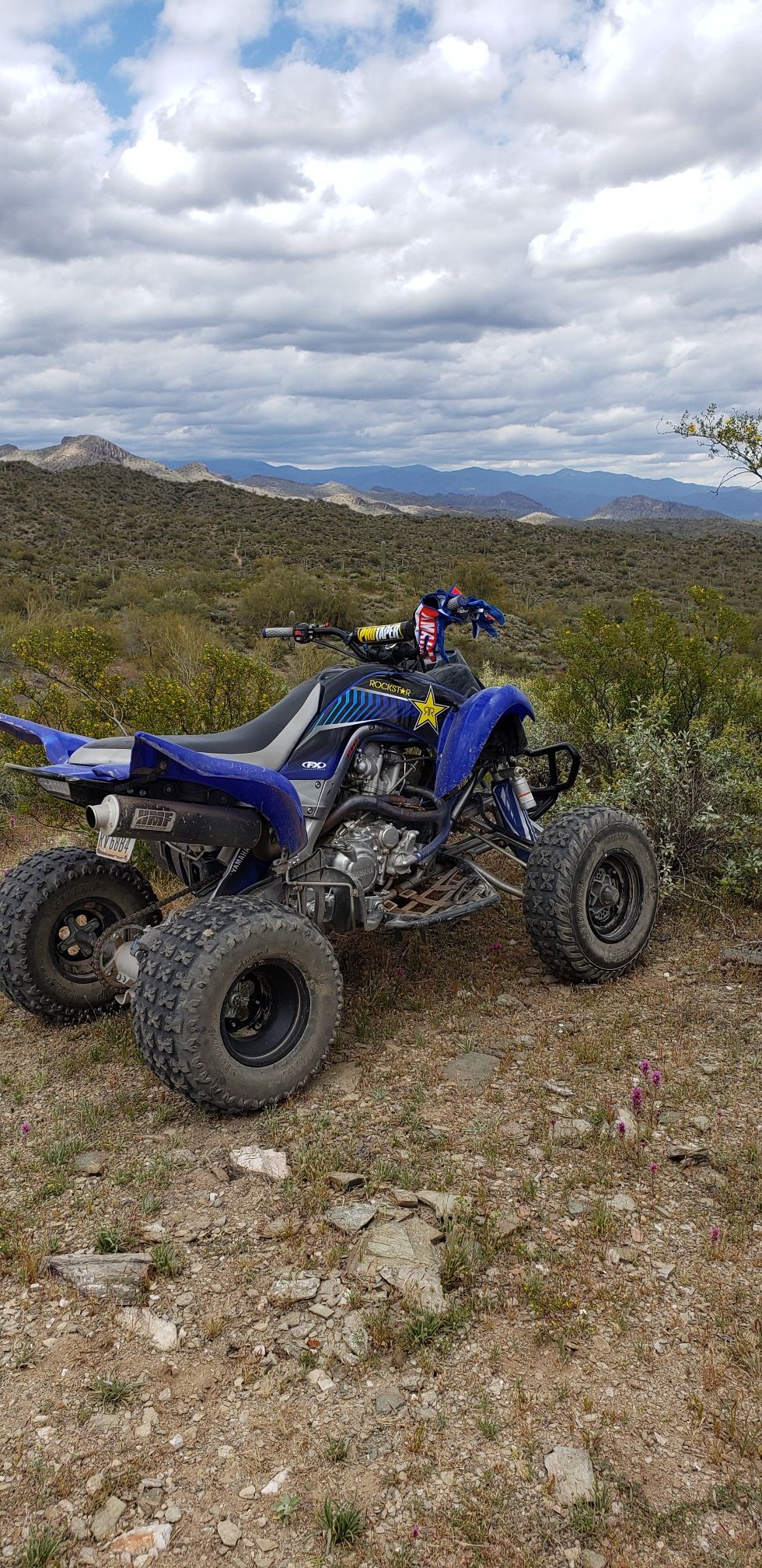2009 Yamaha raptor 700r SE for Sale in Phoenix, AZ - OfferUp