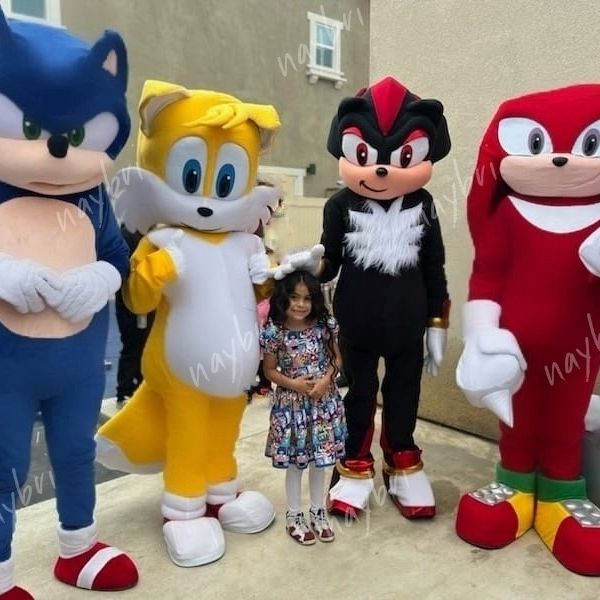 Sonic The Hedgehog Mascot Costume