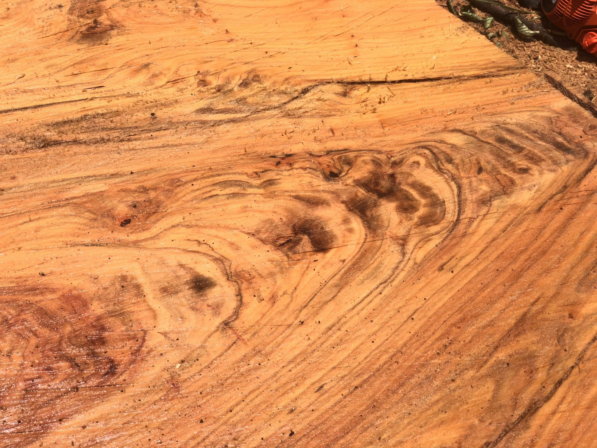 Various Rough cut wood slabs for woodworking, live edge, tables, coffee ...