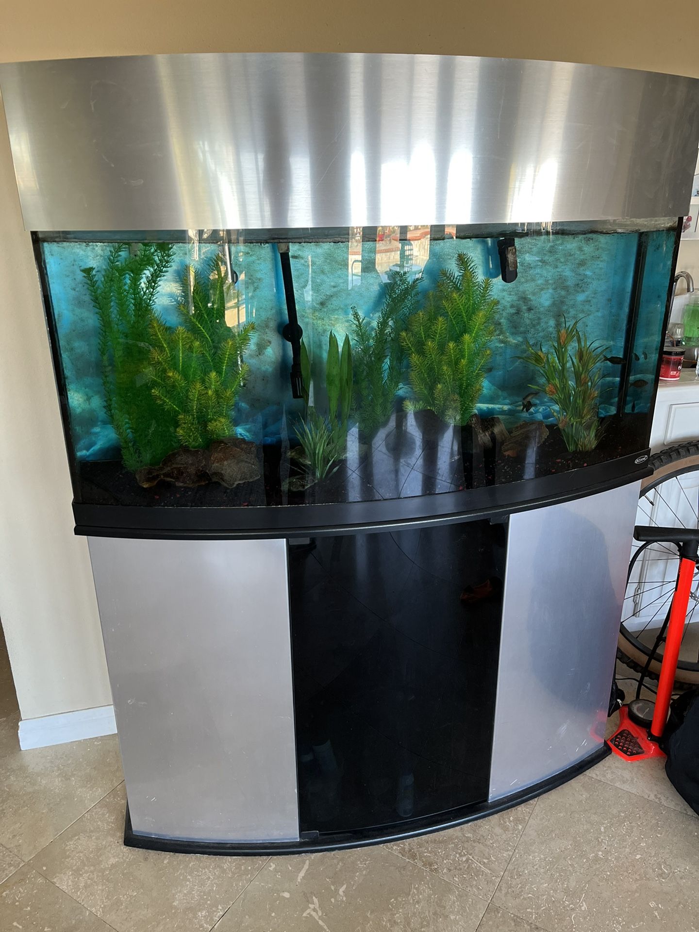 Modern Fish Tank