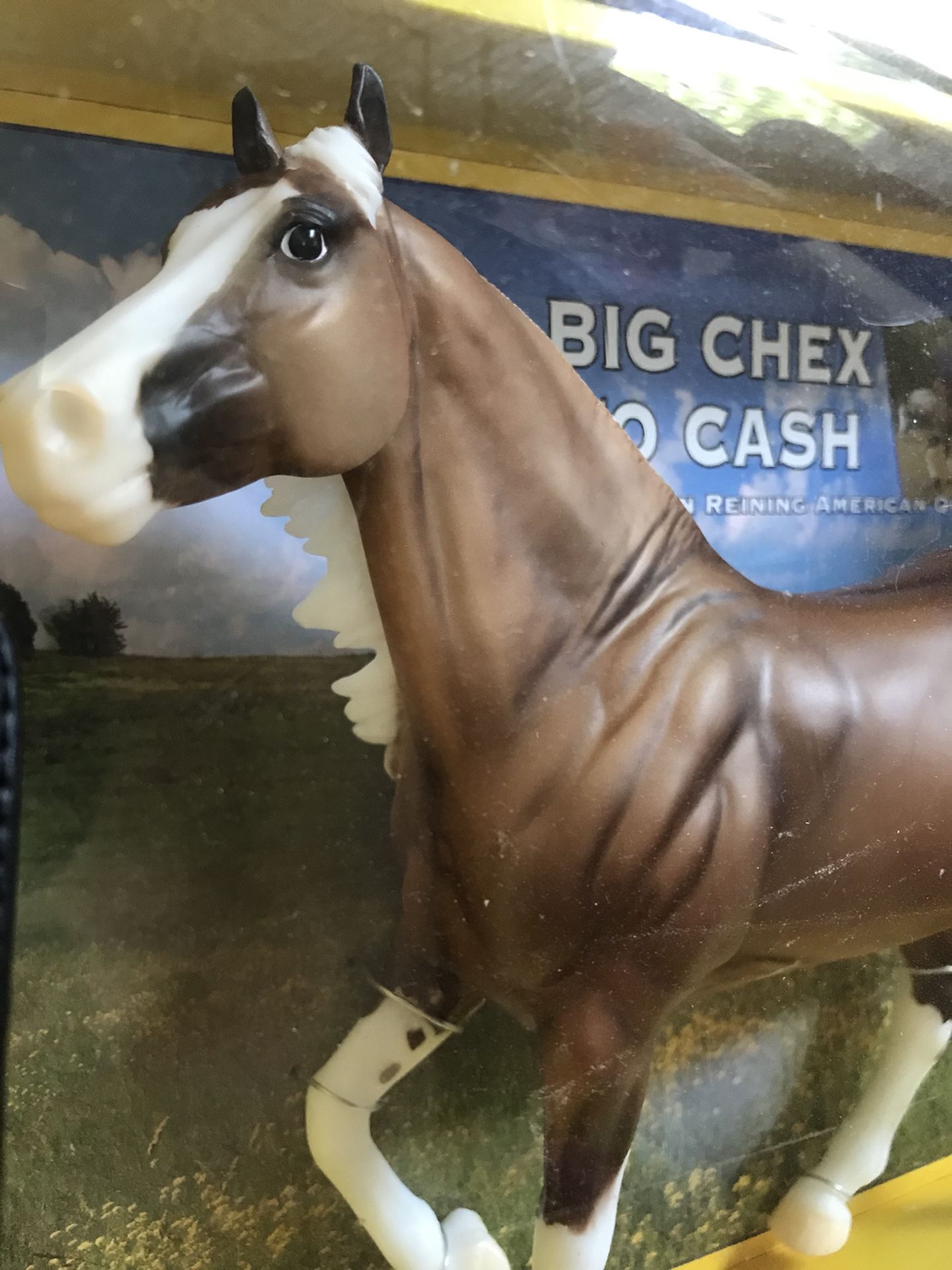 Big Chex To Cash Breyer