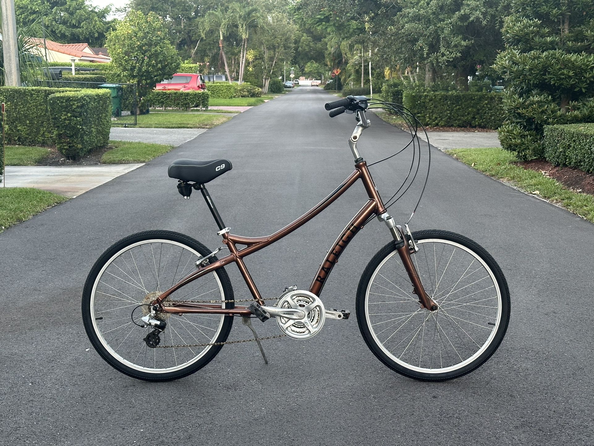 Raleigh Gruv 2.0 Foot-Forward Townie-Style Cruiser Hybrid Bicycle - 24 ...