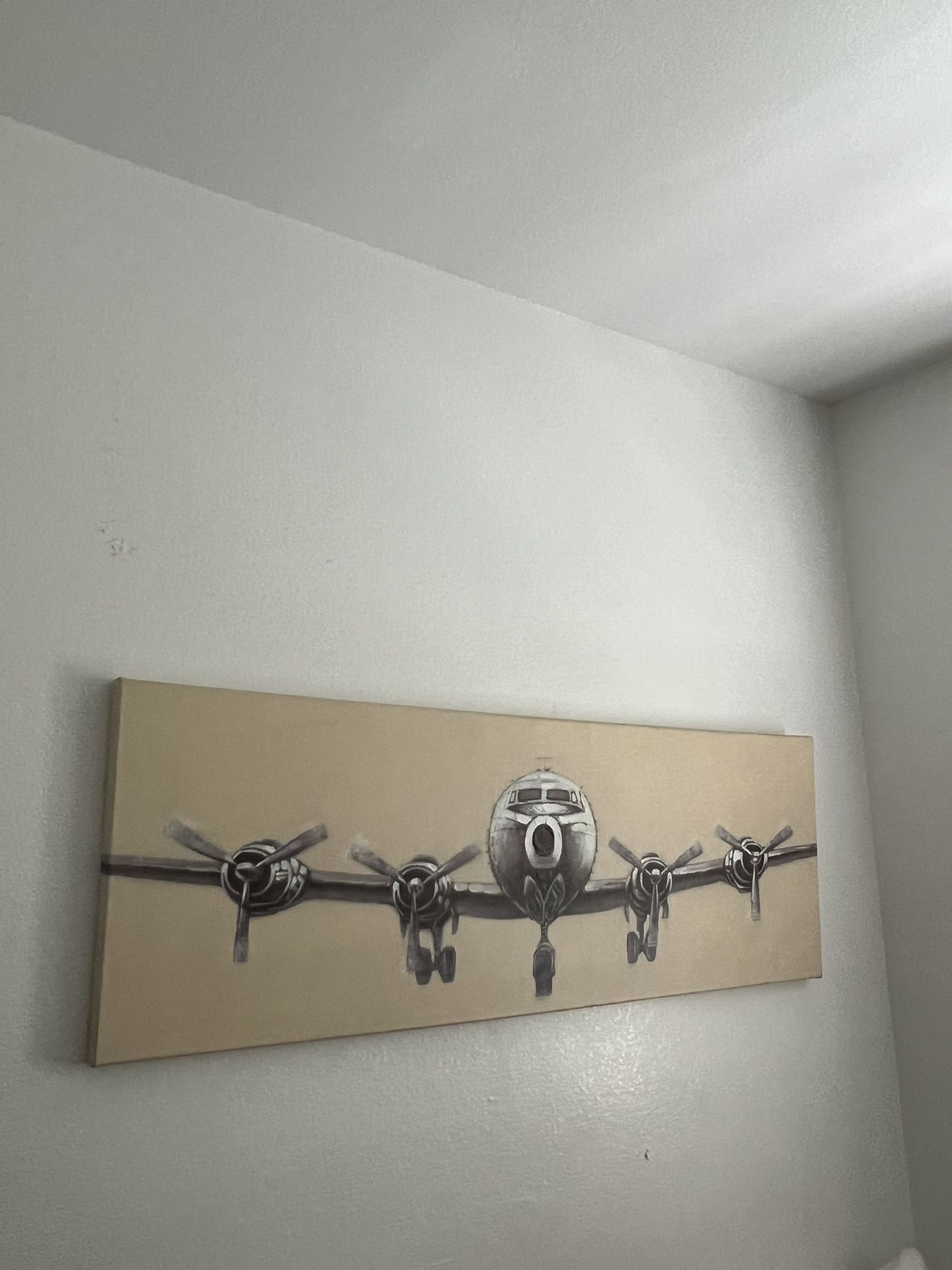 20x60” Plane On Canvas Wall Picture Asking 45 Firm. Delivery Available ...