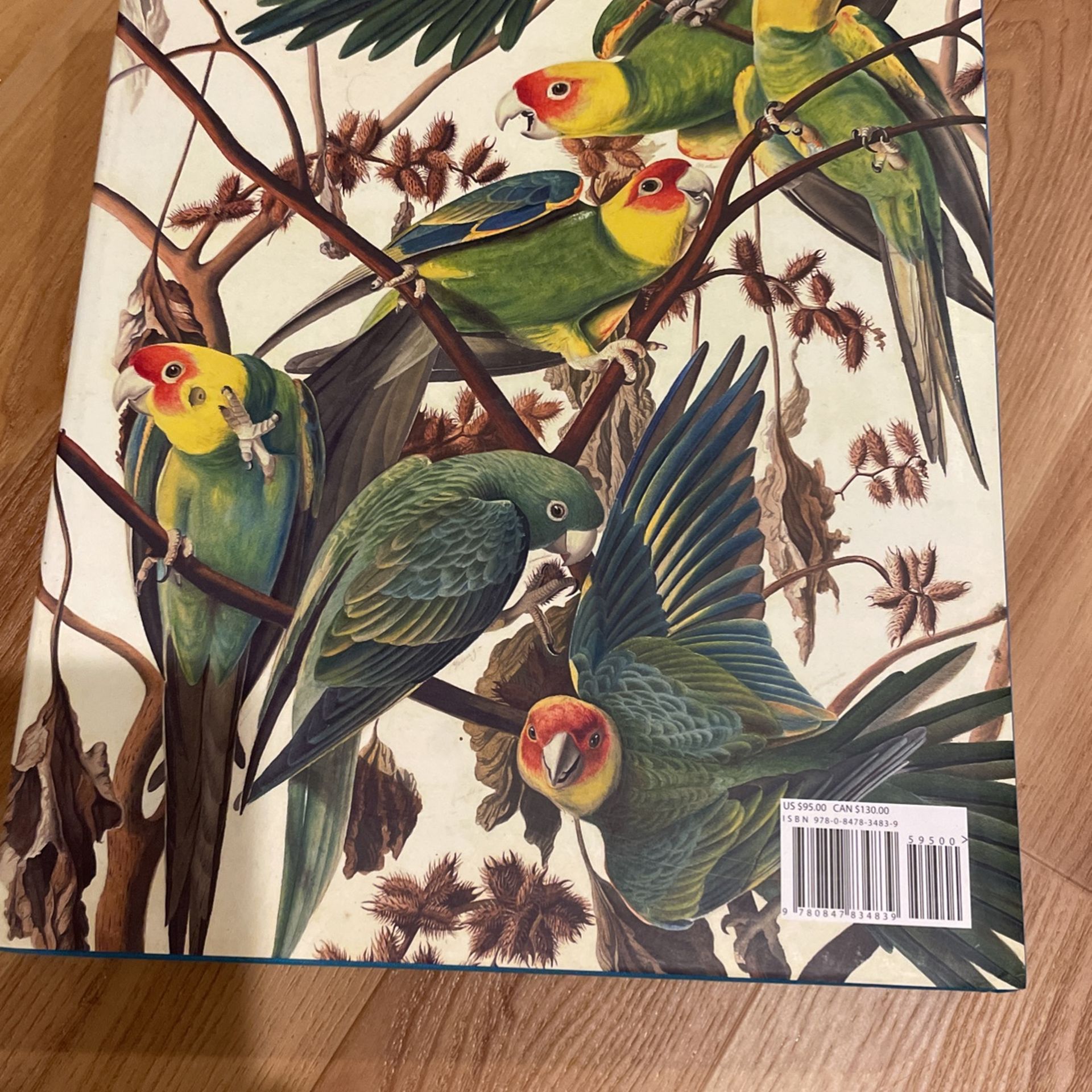 Audubon’s Aviary Coffee Table Book for Sale in Seattle, WA - OfferUp