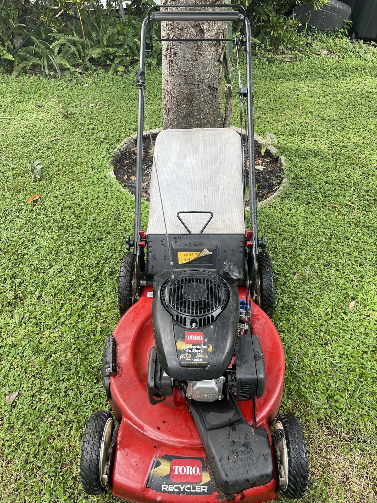 Self Propelled High Wheel Lawn Mower Toro Recycler 22” Cut With A 6.75 ...