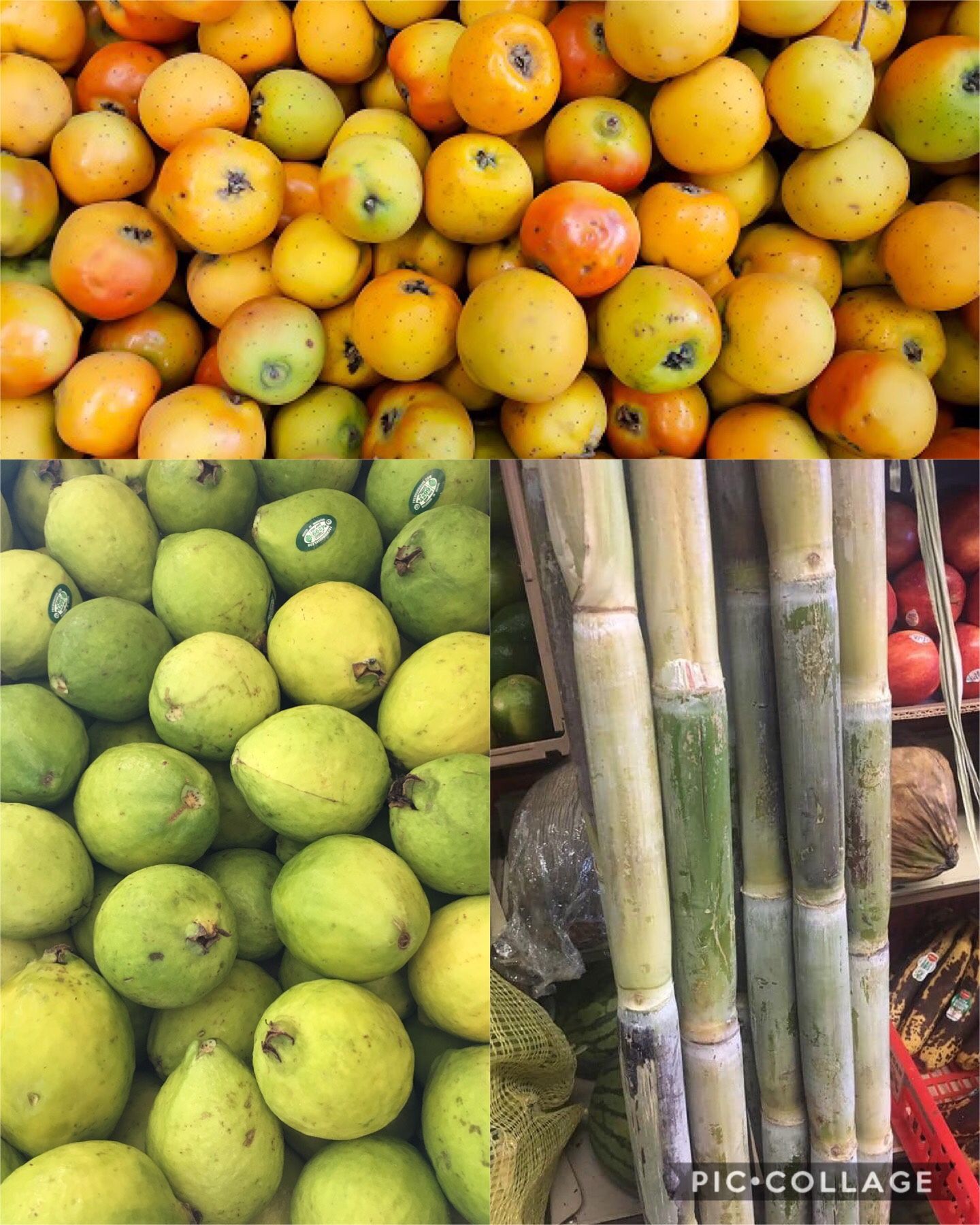 Mamoncillos fresco. Quenepas. Guayas Fruta de estrella. Bonete ...
