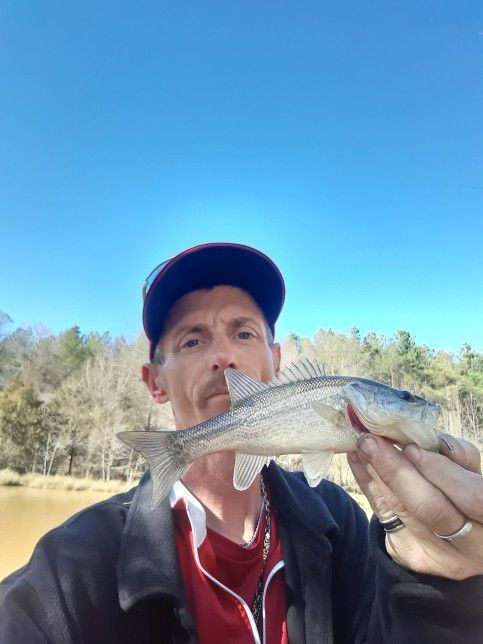 1985 Bass Aggressor Boat for Sale in Woodruff, SC - OfferUp