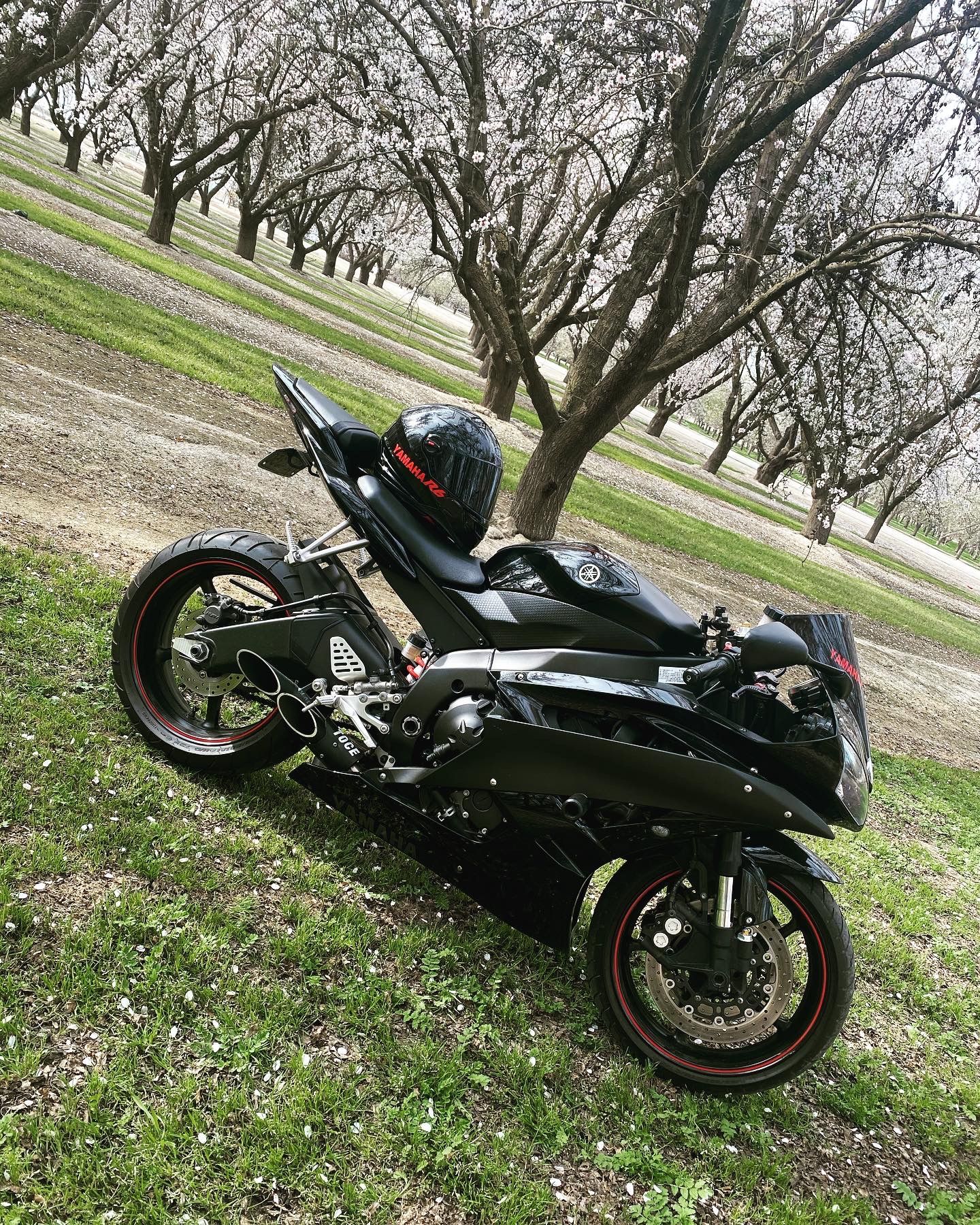2006 Yamaha r6 Raven Edition for Sale in McFarland, CA - OfferUp