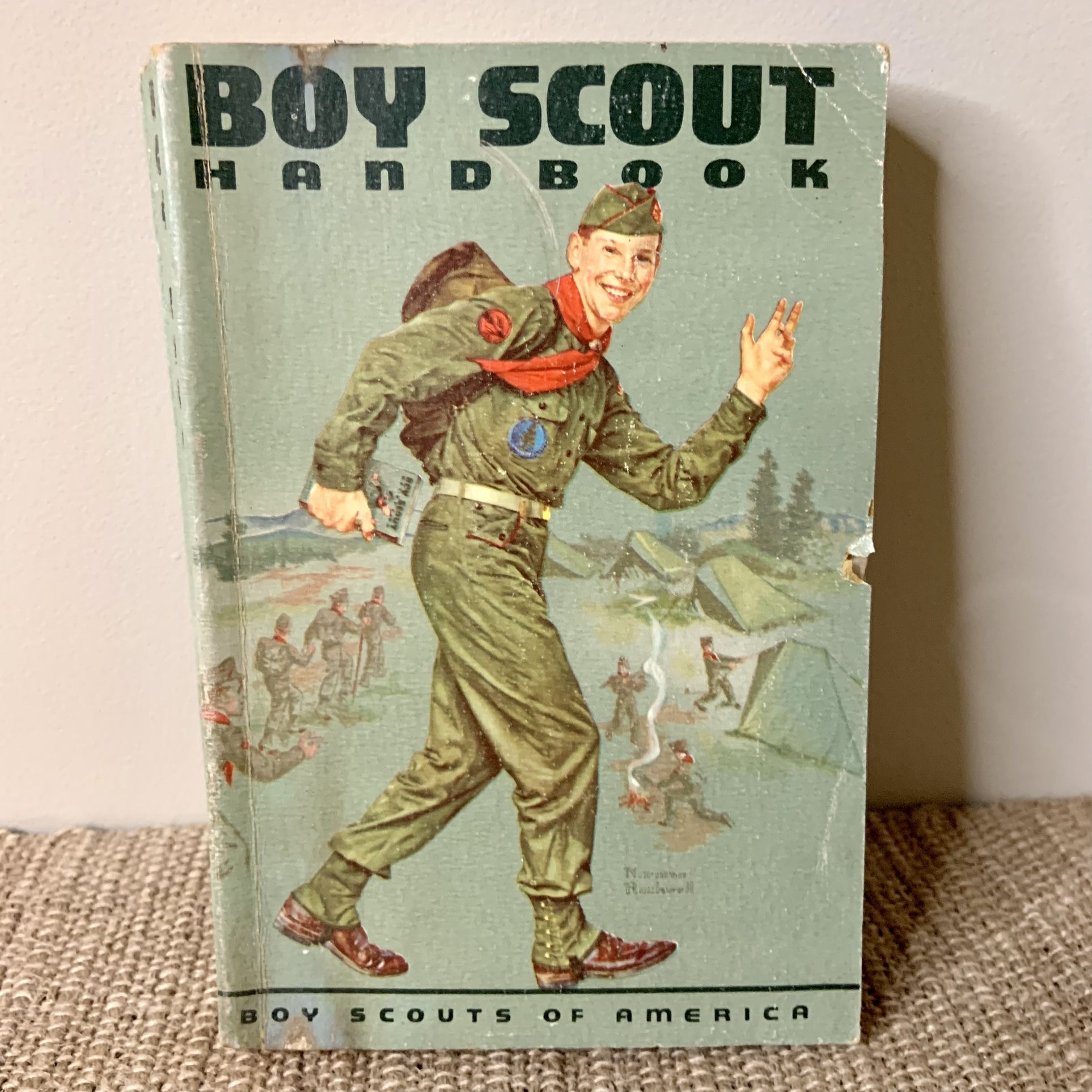 Used Boy Scout Books