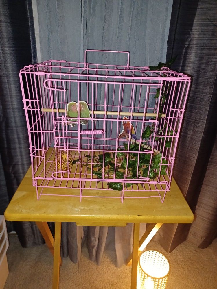 Pink Easy Transport Bird Cage, Great 4 Small Birds for Sale in San ...