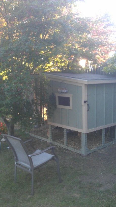 Chicken Coup for Sale in Stratford, CT - OfferUp