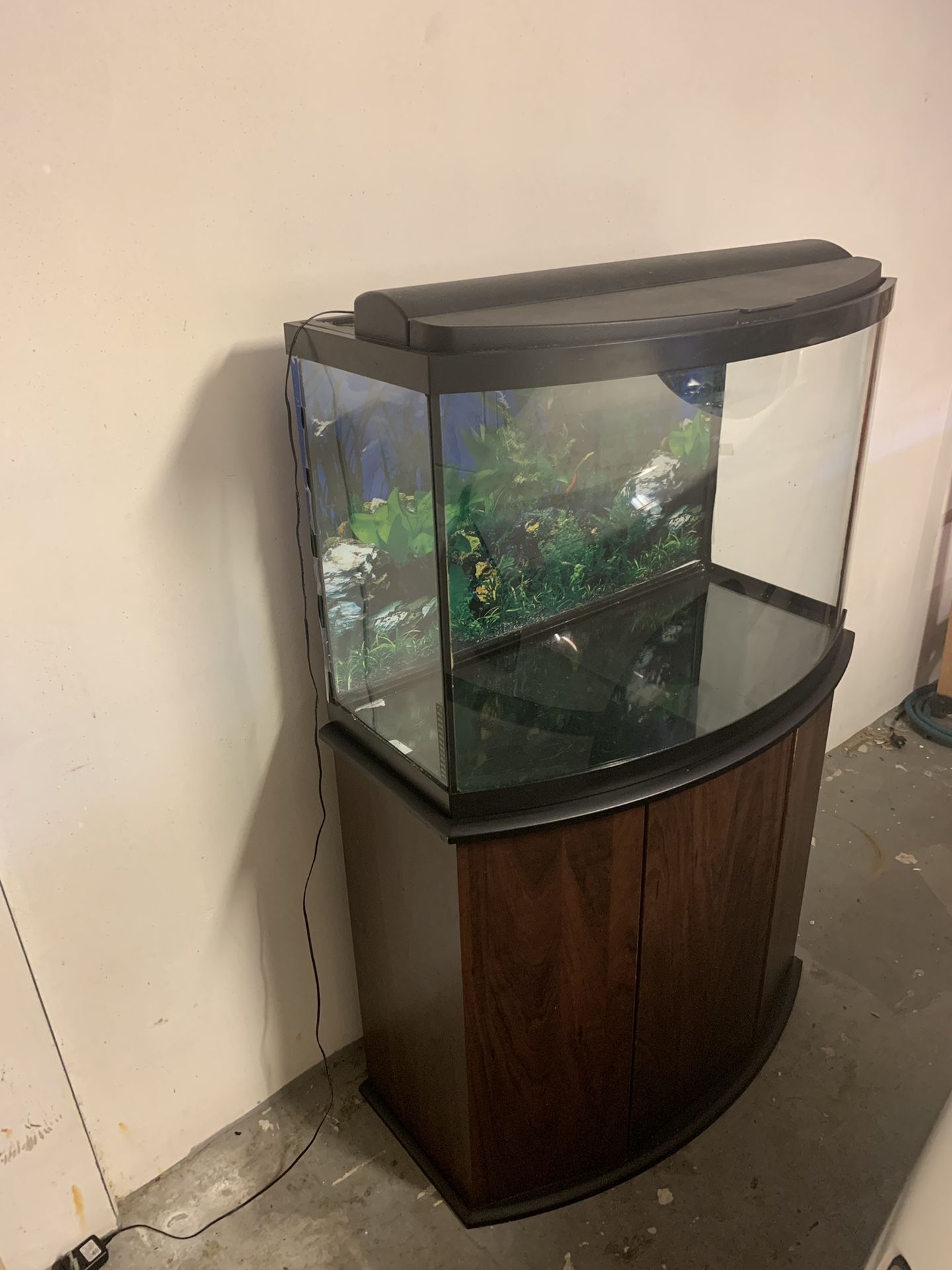 36 gallon bow front fish tank for Sale in Port Richey, FL - OfferUp