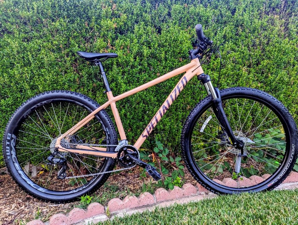 Large Specialized Rockhopper 29er for Sale in Irvine, CA - OfferUp
