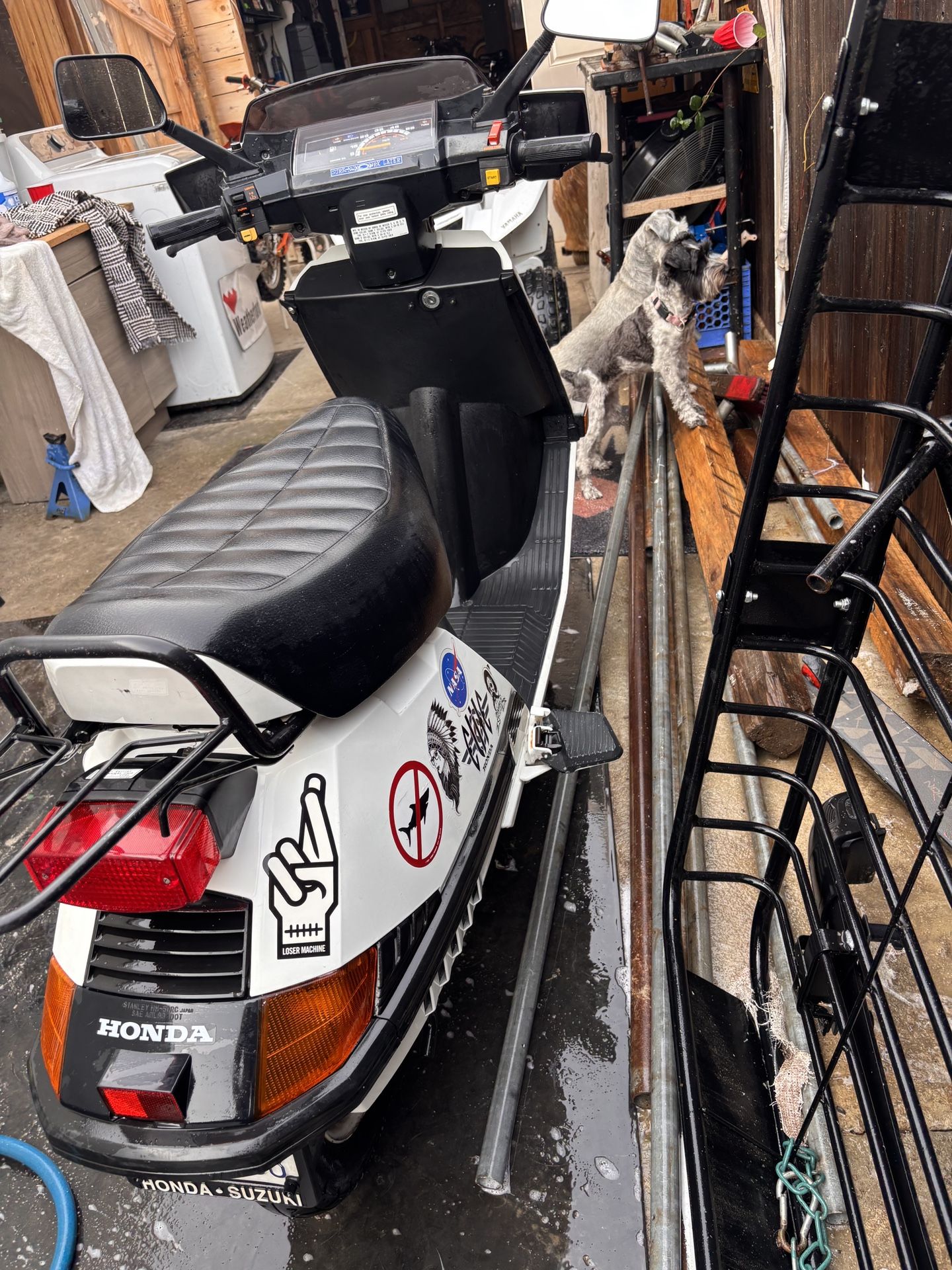 Honda Moped for Sale in Taft, CA - OfferUp