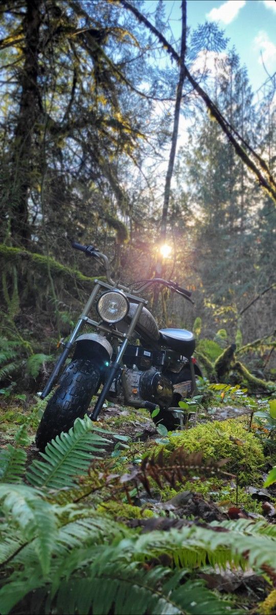 Massimo MB200 Trailmaster for Sale in Shoreline, WA - OfferUp